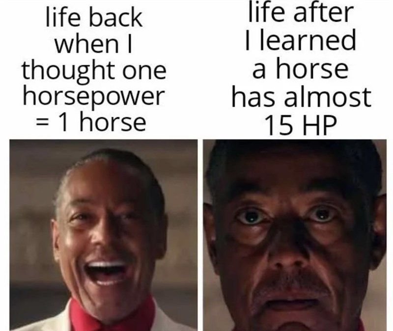 31 Memes of All Stripes