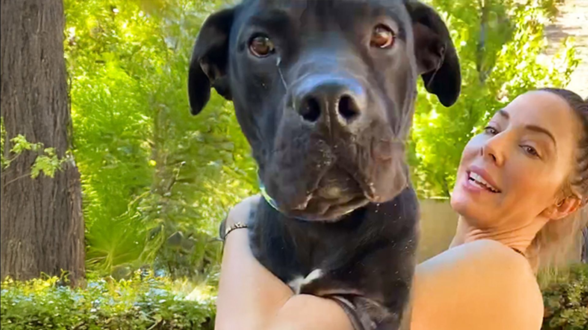 Whitney Cummings Brought Home A Dog With Two Left Legs