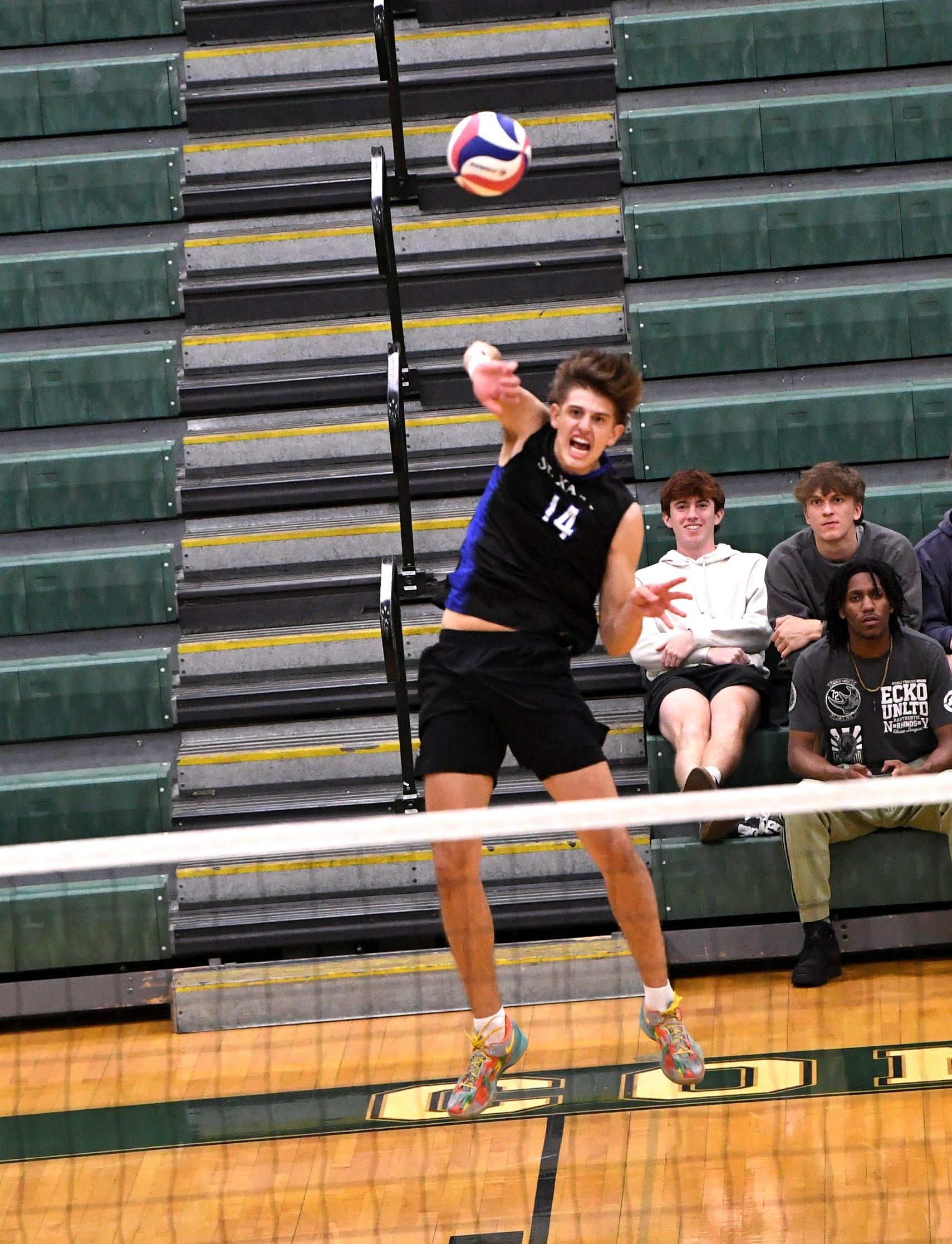 Play catch-up on The Enquirer's high school spring sports content