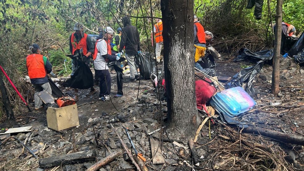 We Heart Seattle cleans Kinnear Park with help from former homeless ...
