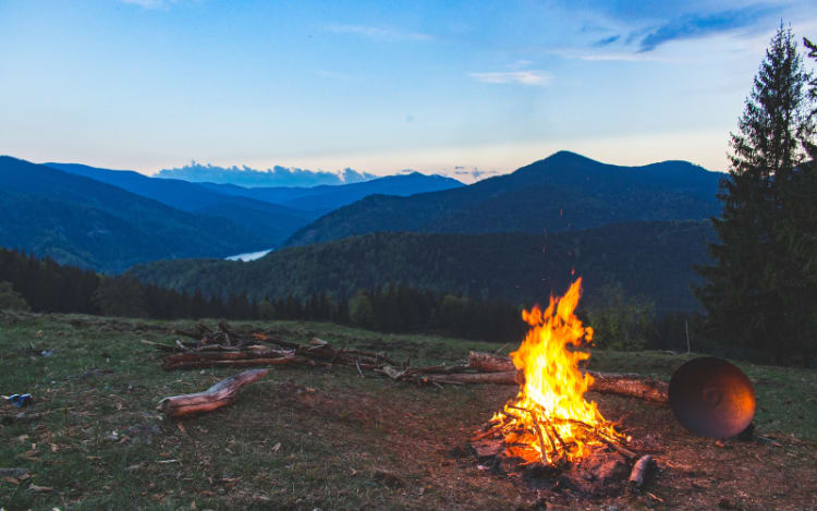 7 Essential Tips for National Forest Camping