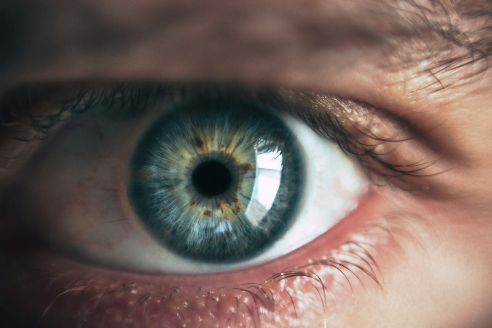 Scientists link subtle eye changes to memory accuracy