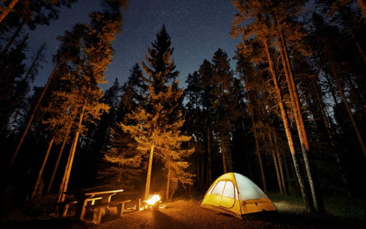 7 Essential Tips for National Forest Camping
