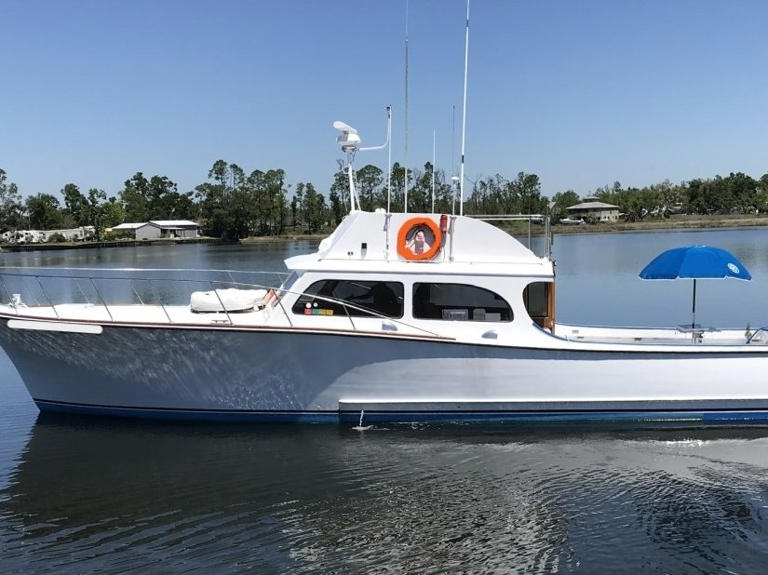 Sadistic Florida fisherman jailed and fined for killing dolphins in ...