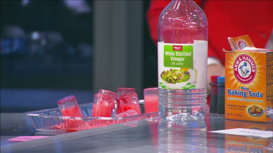 Elaina’s Experiments: A Science Salute