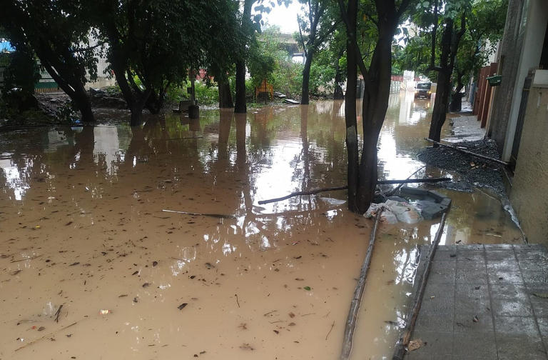 Irate residents urge BBMP to desilt Benniganahalli Lake