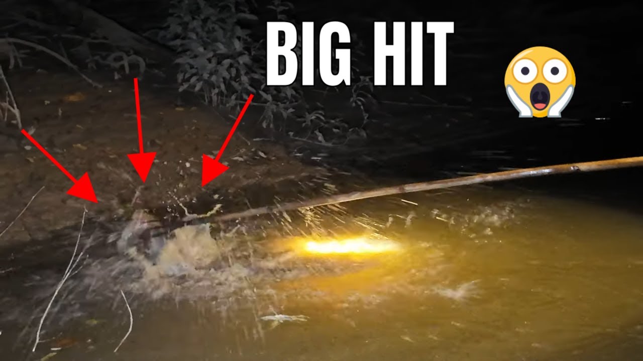 Toman Putih Bersorak Kegirangan Ketika Terkena Mata Tombak