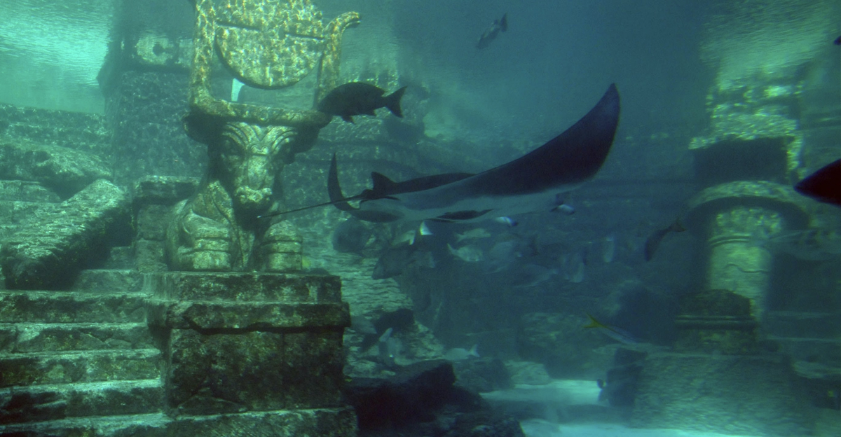 The Lost City Of Atlantis: Fact Or Fiction