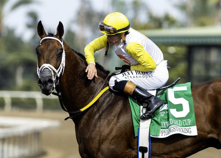 Racetrack Roundup: Skippylongstocking Back On Work Tab, Aimed For ...