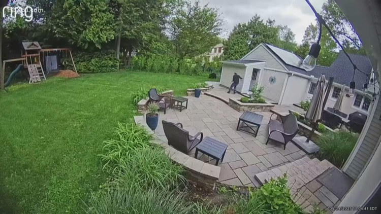 Video captures Connecticut resident's encounter with bear in backyard