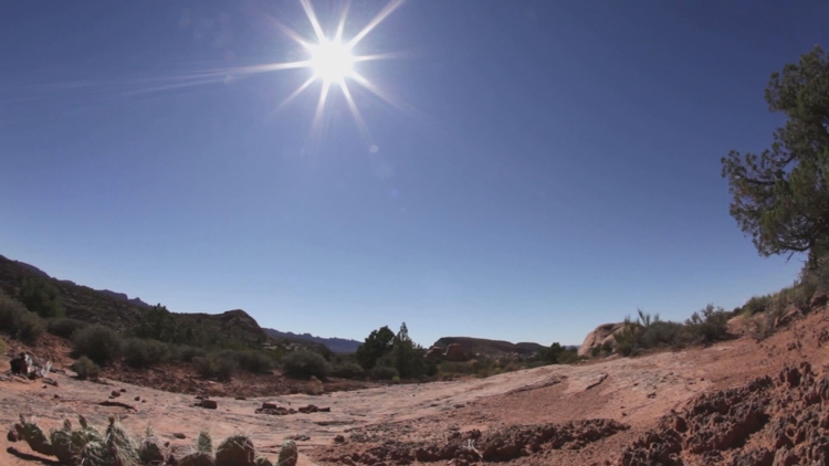 'We had no idea what we were getting ourselves into': Arizona woman ...