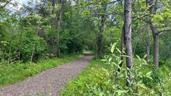 Fort Custer expects busy 2025 camping season with most sites already ...