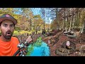 Bitten While Fishing in a Snake-Infested Swamp