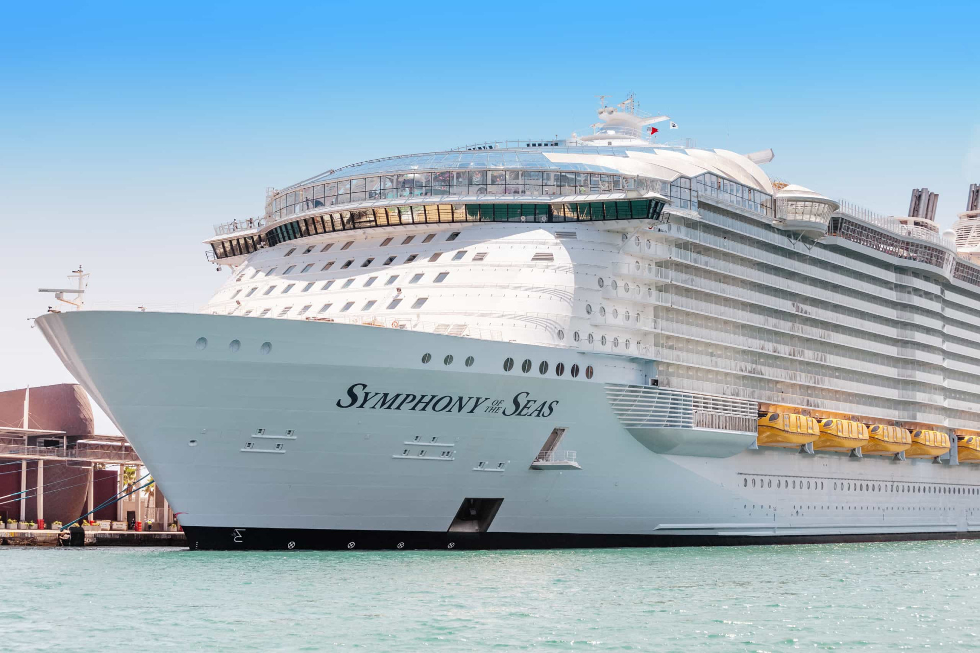 How cruise ships manage their daily food supply