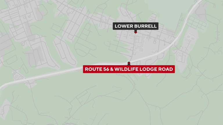 Westmoreland County man killed in Lower Burrell motorcycle crash