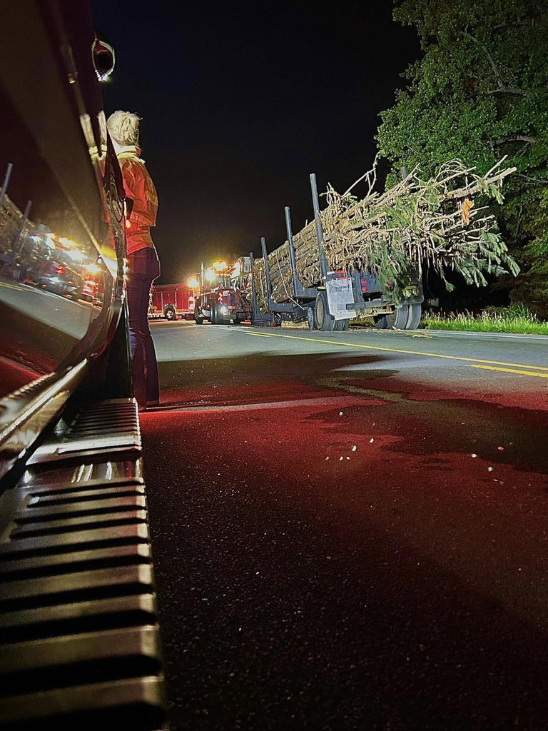 Road clear after log trailer disconnects from truck