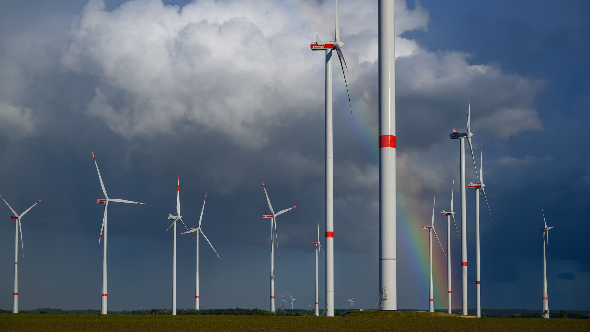 ‘It boggles the mind’: Government spends large amount on renewables ...