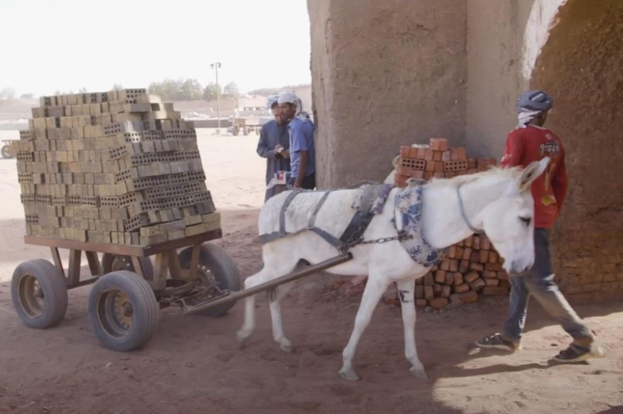 Downton Abbey star Peter Egan releases sequel to award-winning film ...