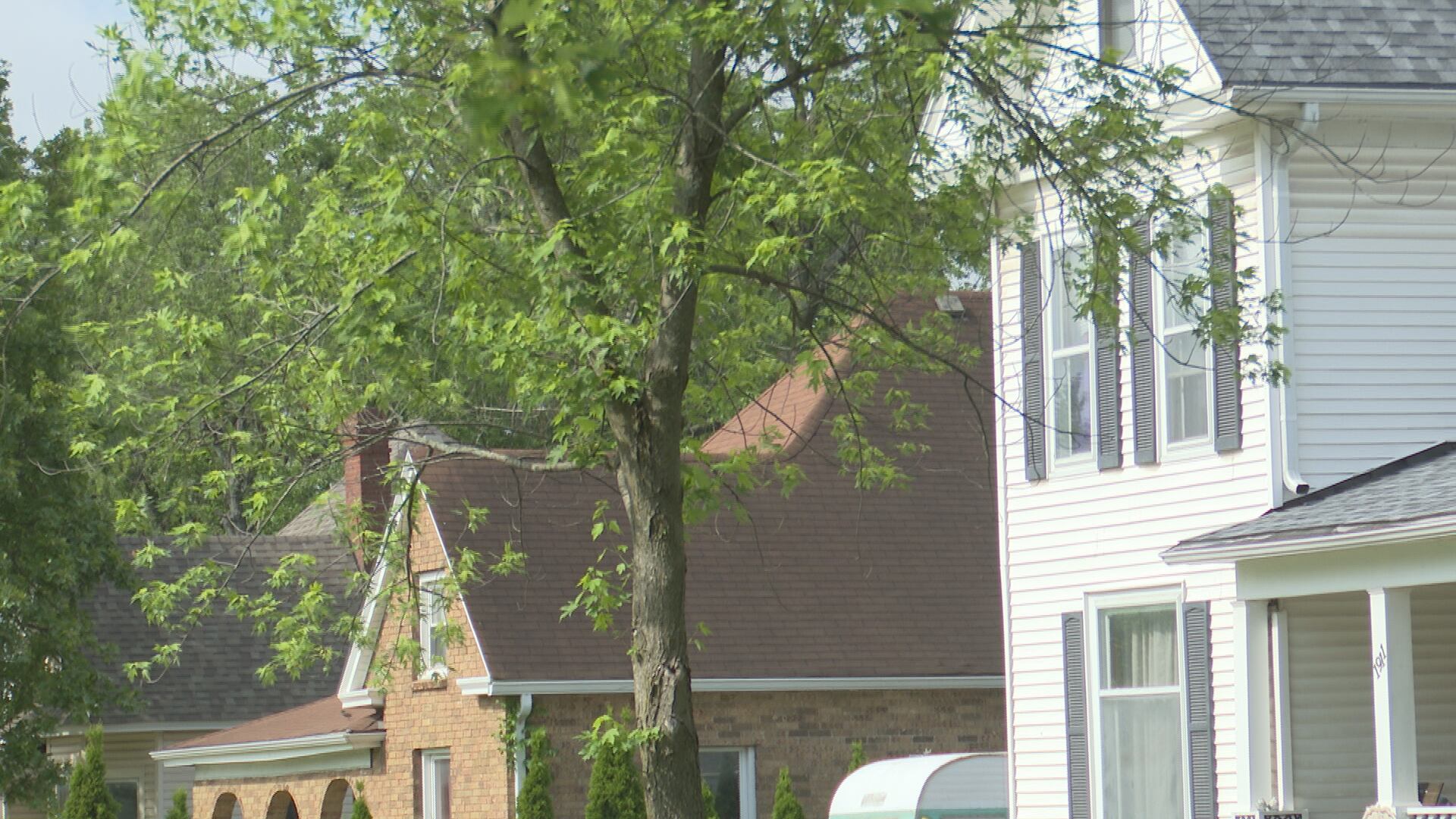 How you can get involved in planning the next phase of homes in your ...