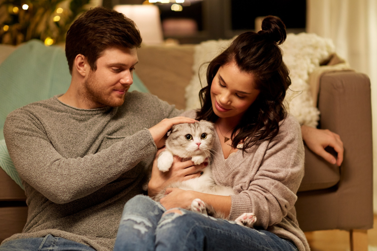 Why Gen Z Is Choosing Cats Over Kids, And 11 Trends That Back It Up