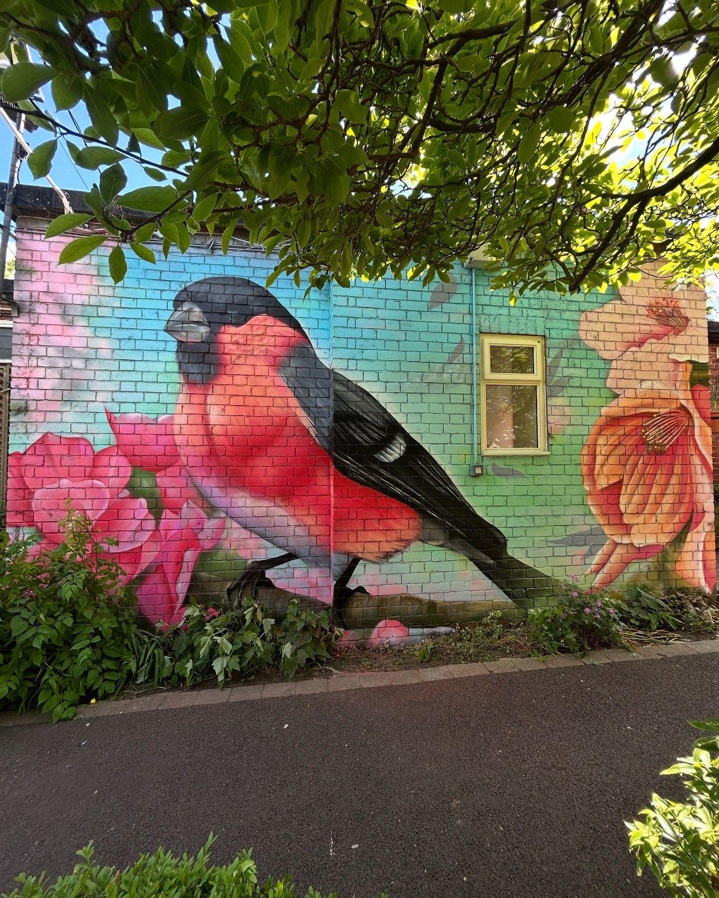 Vibrant new mural brings colour to Sue Ryder Wheatfields Hospice
