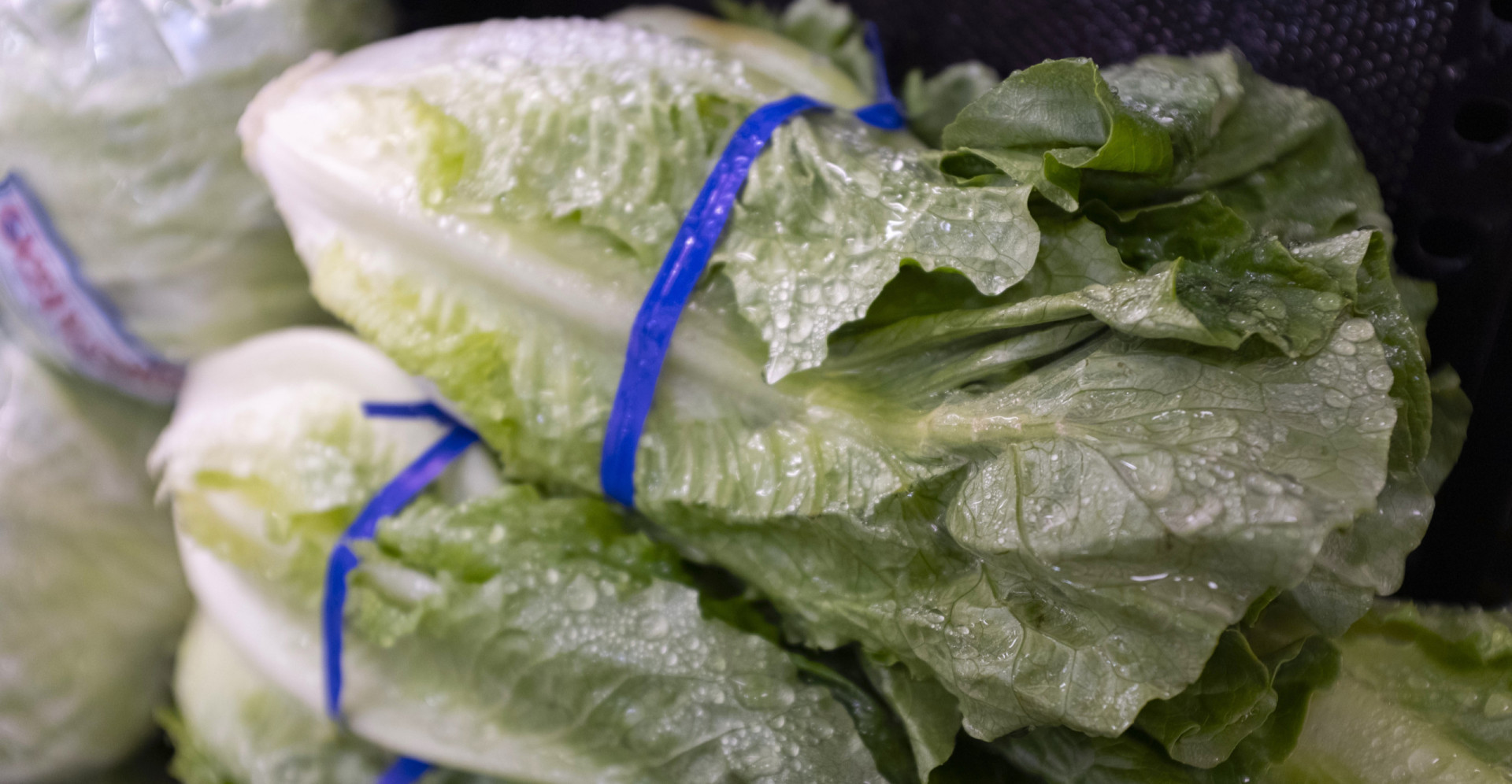 Contaminated foods that have killed people