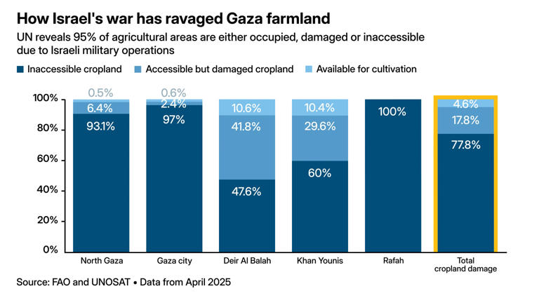 Gaza’s 'ecological collapse' threatens recovery