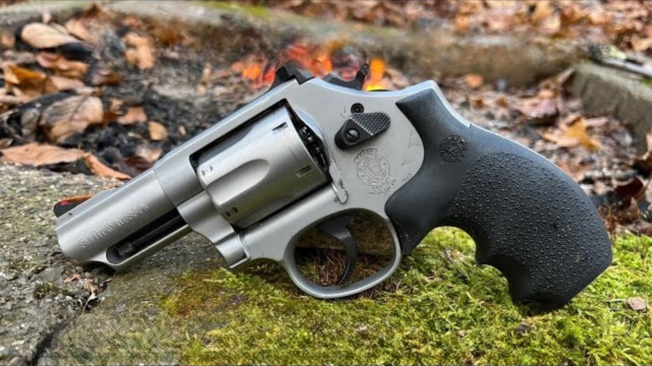 What Makes a Firearm “Trustworthy” for Survival