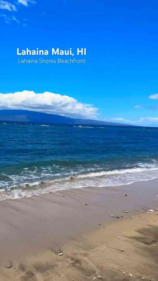 Lahaina Maui HI update - Cruising the beach in front of Lahaina Shores.