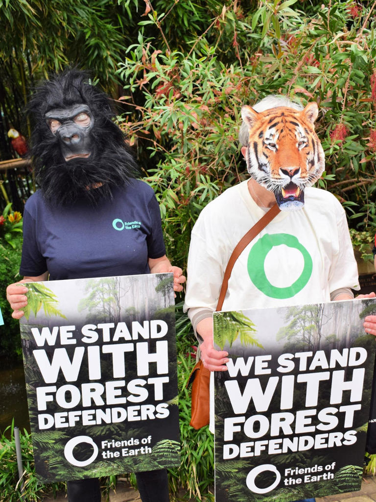 Sheffield Friends of the Earth call for new law to save the rainforests