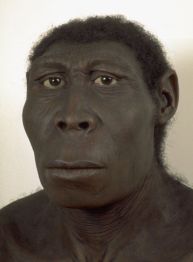Riddle of a lost land may finally be solved thanks to a 140,000-year ...