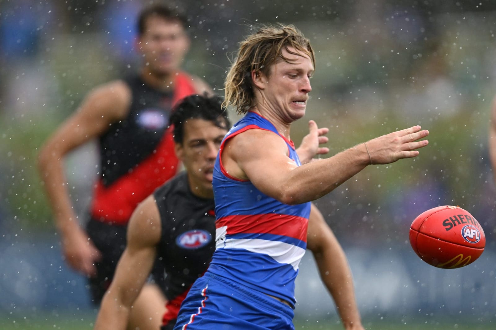 Gun Dog, Power trio moved to inactive list, another blow for Bombers ...