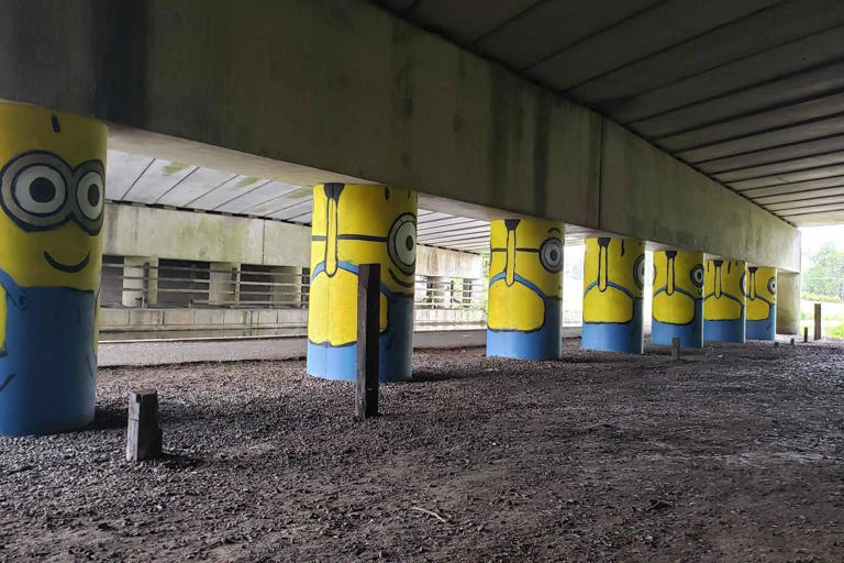 'Burnley Banksy' creates eye catching images of popular Disney 'Minions ...