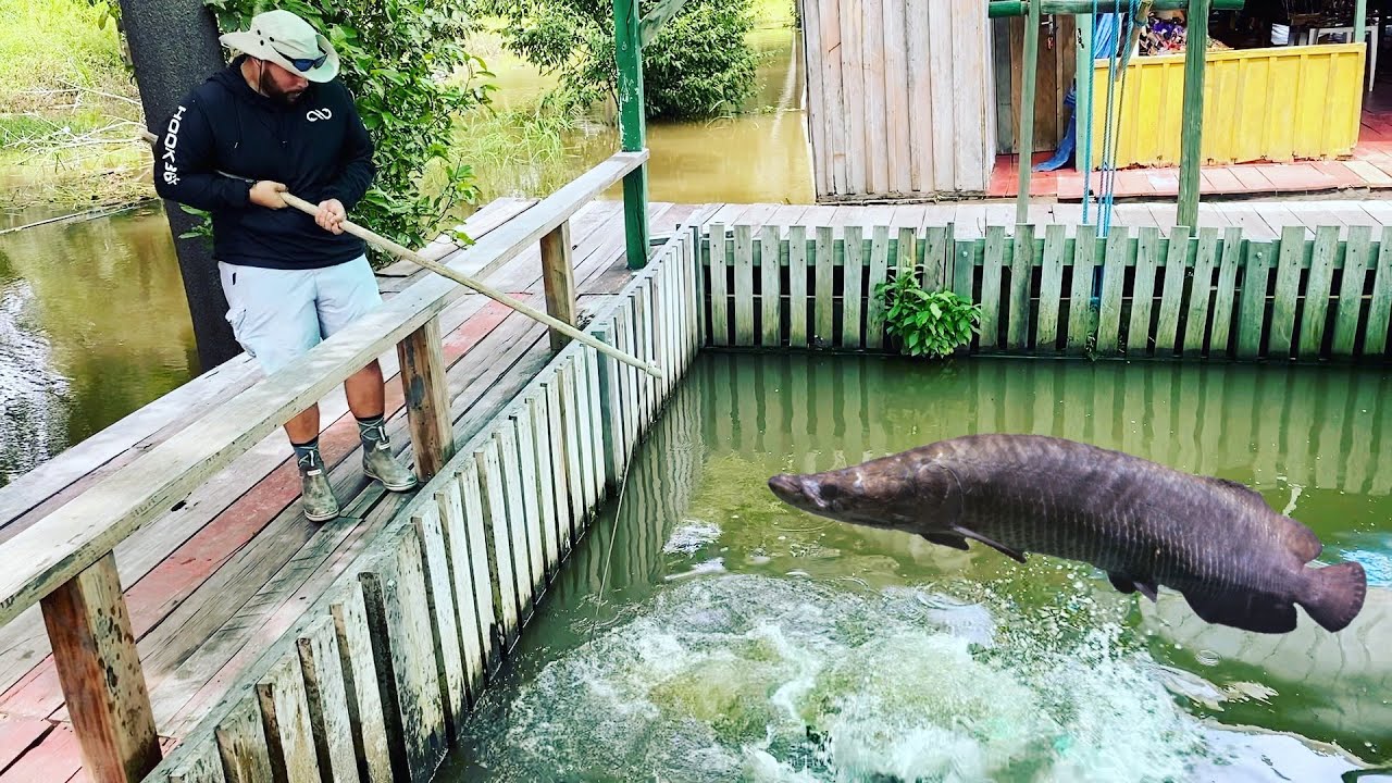 The floating pond setup that hooked into true river monsters