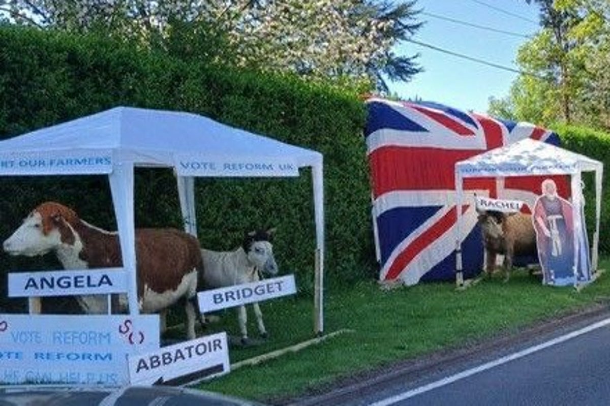 ‘Misogynistic’ Reform activists depict female cabinet ministers as cows ...
