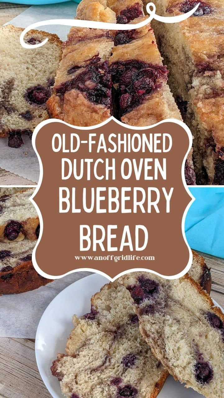 Old-Fashioned Artisan Dutch Oven Blueberry Bread Recipe