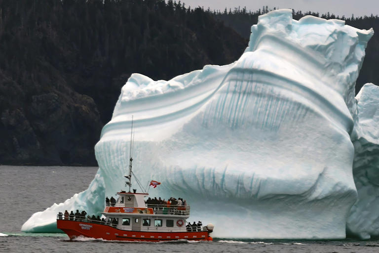 Icebergs in abundance: Already a 'banner year' in Newfoundland