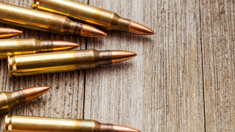 Calibers guides secretly wish hunters would stop bringing