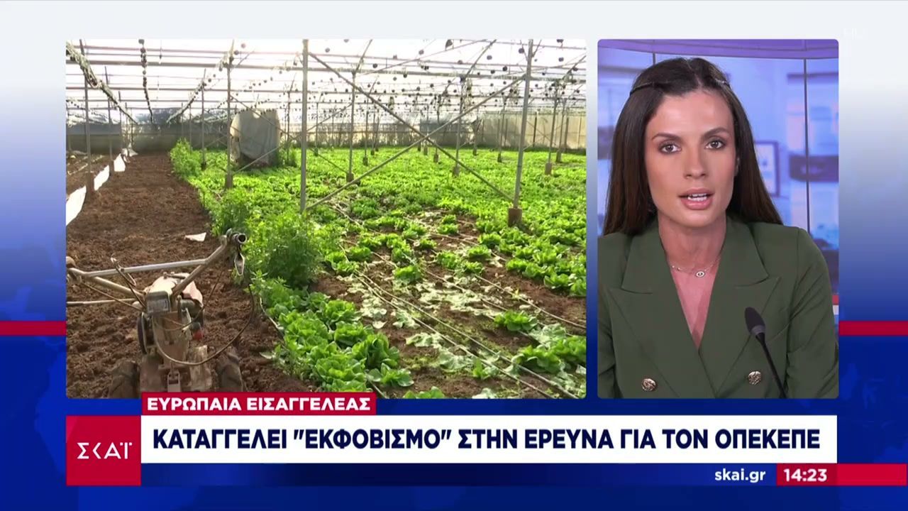 Ευρωπαία εισαγγελέας καταγγέλλει "εκφοβισμό" στην έρευνα για τον ΟΠΕΚΕΠΕ