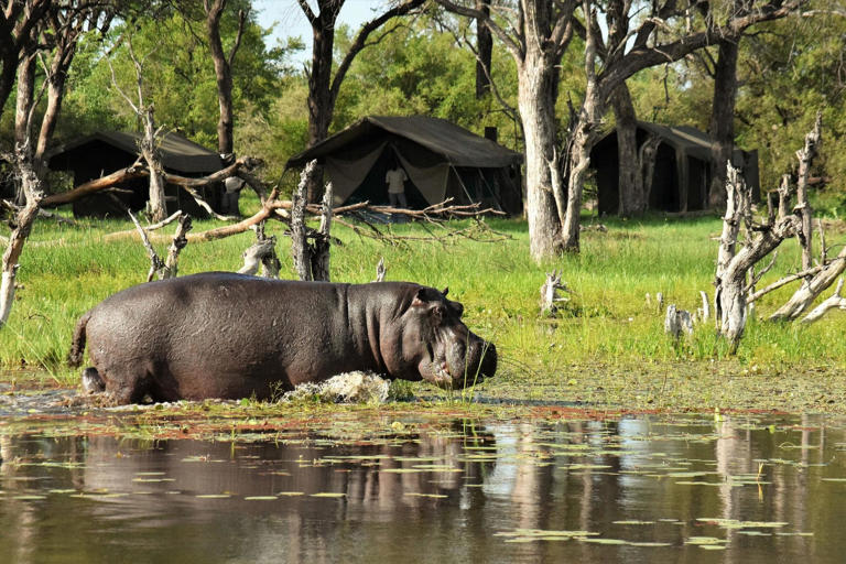 Photographers from Scotland invited on the ultimate African mobile safari