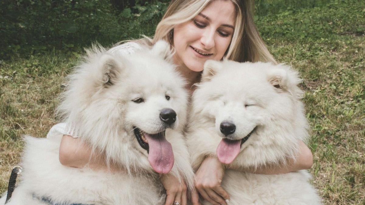 Common Mistakes Pet Caretakers Make and How to Avoid Them