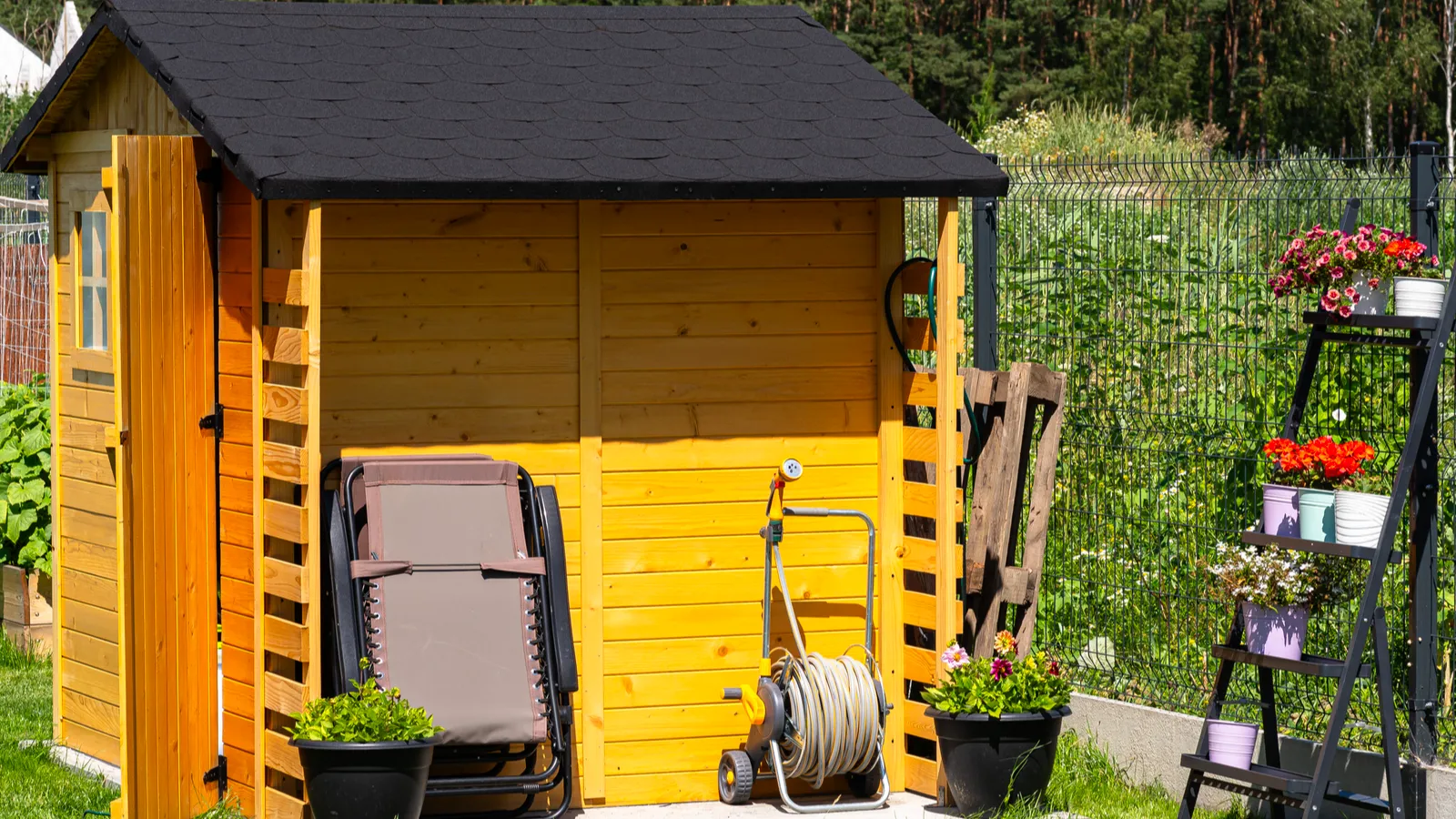 Best Shed Designs That Blend with Any Backyard