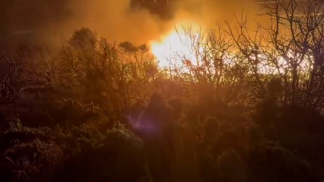 Suspected arson attacker destroys Dorset beach huts