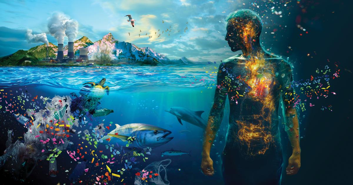 How To Reduce Microplastic Exposure In Your Life