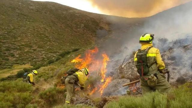 Ante un incendio forestal, esto es lo que tienes que hacer