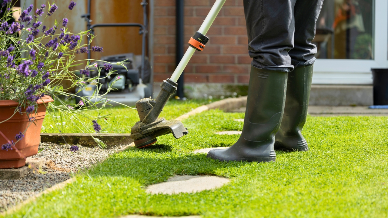 Best Weed Eaters That Don’t Fall Apart in a Season