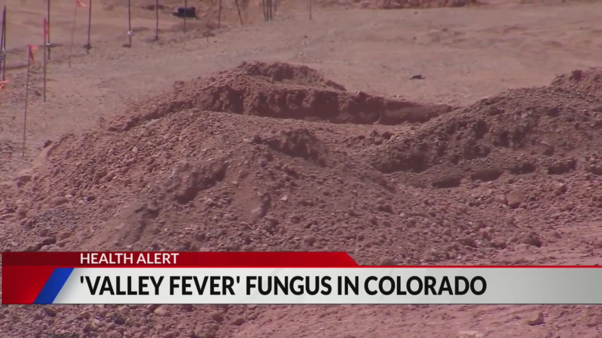 Soil fungus found in Colorado can lead to lung infections — but ...