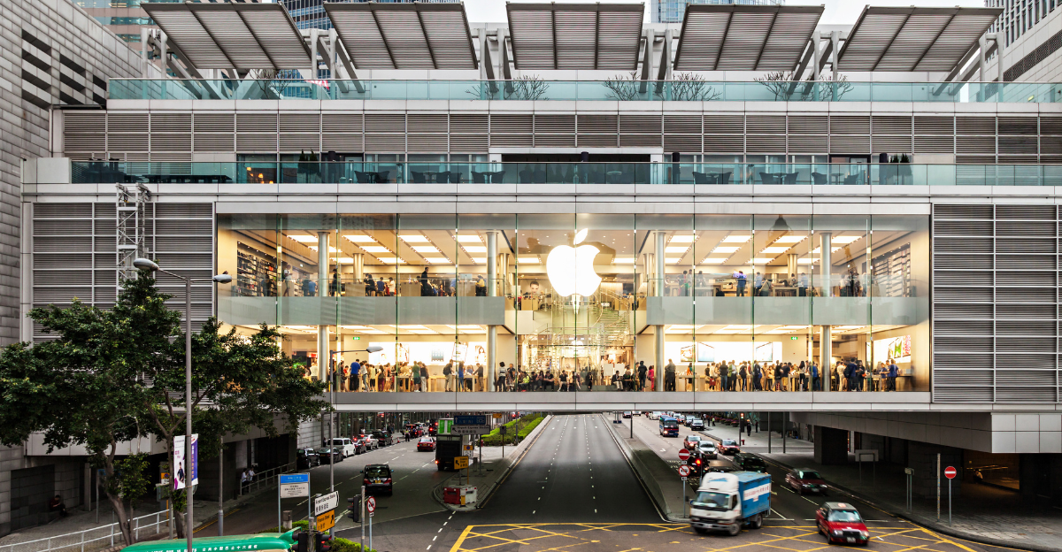 The best small pets for compact homes