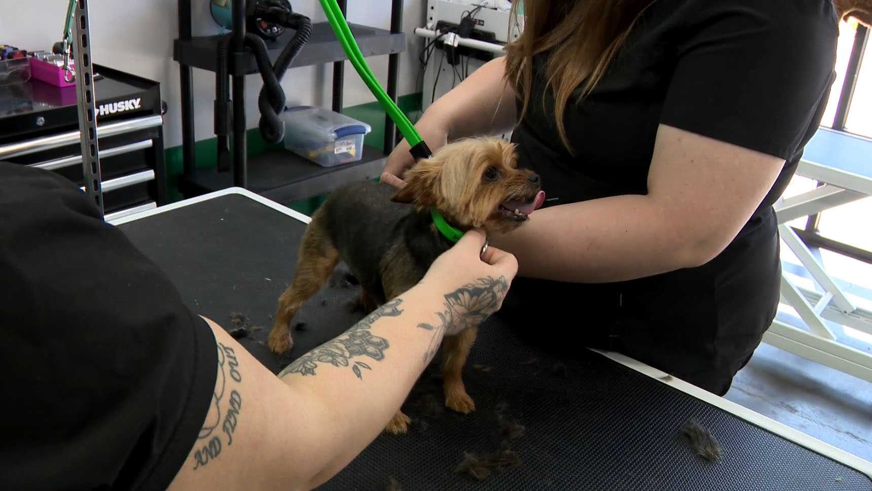 Brandon salon partners with U.S. Labor Department for first-of-its-kind ...