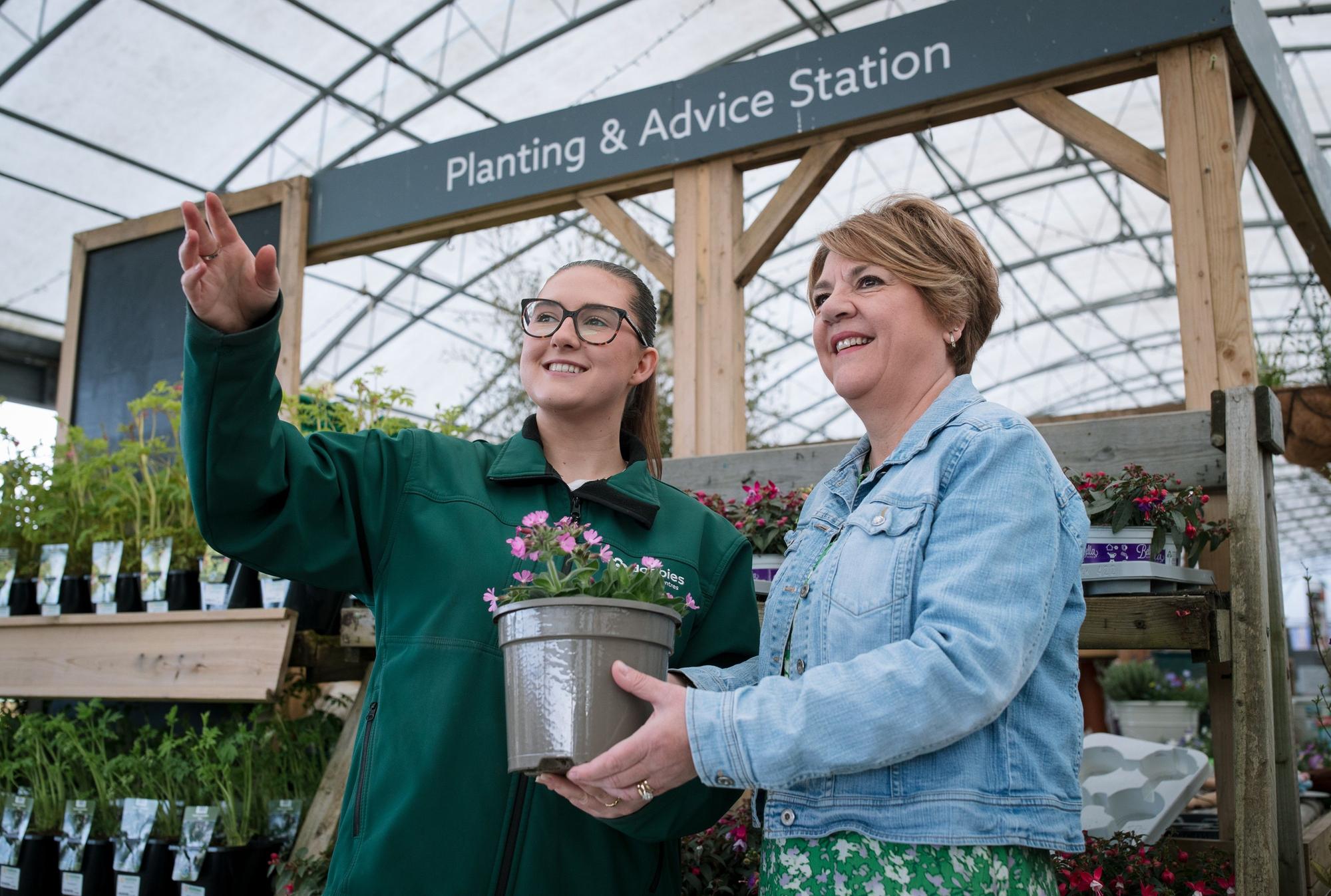 Summer of Roses: Free gardening workshop at Dobbies’ Milton Keynes store